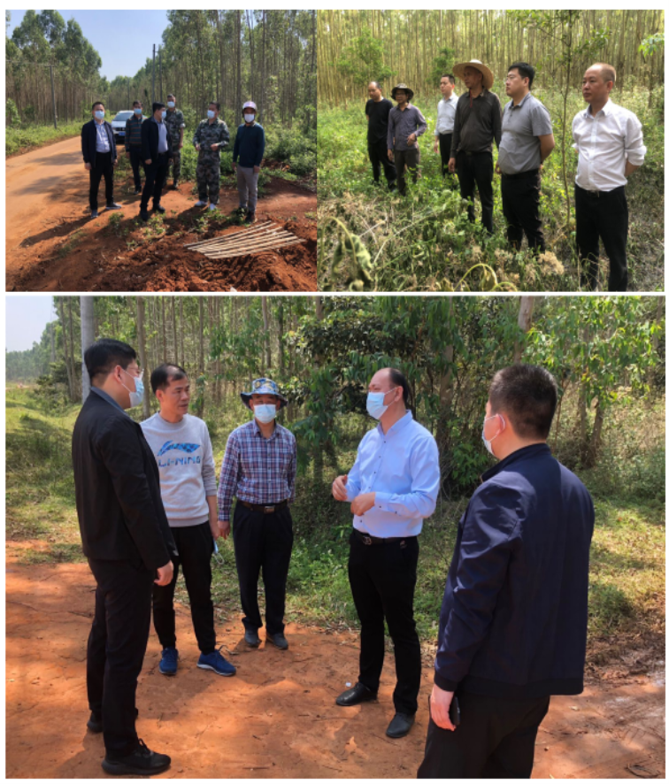 狠抓落实 严防死守 全力以赴做好森林防火各项工作_雷林新闻_新闻中心_中林集团雷州林业局