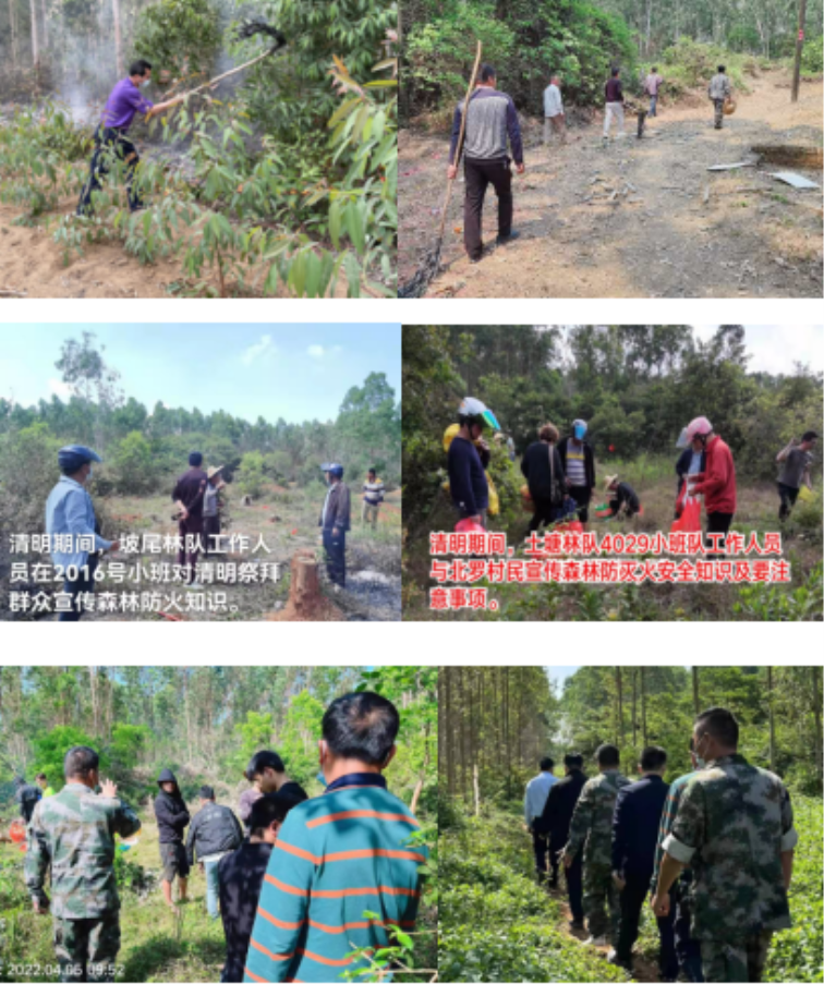 狠抓落实 严防死守 全力以赴做好森林防火各项工作_雷林新闻_新闻中心_中林集团雷州林业局
